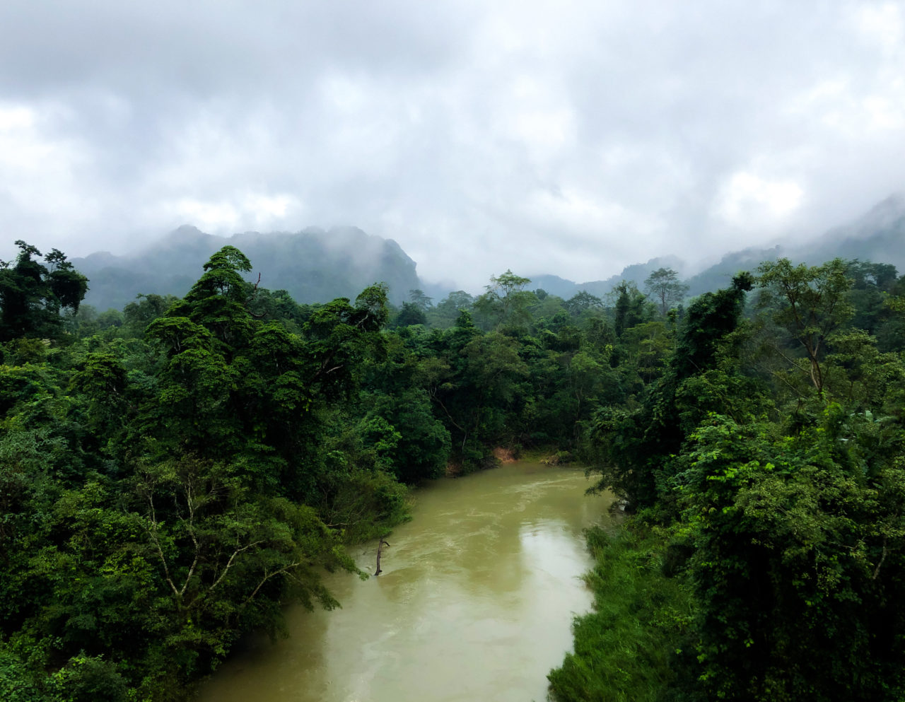 DAO STROM an excerpt from Instrument | Poetry Northwest