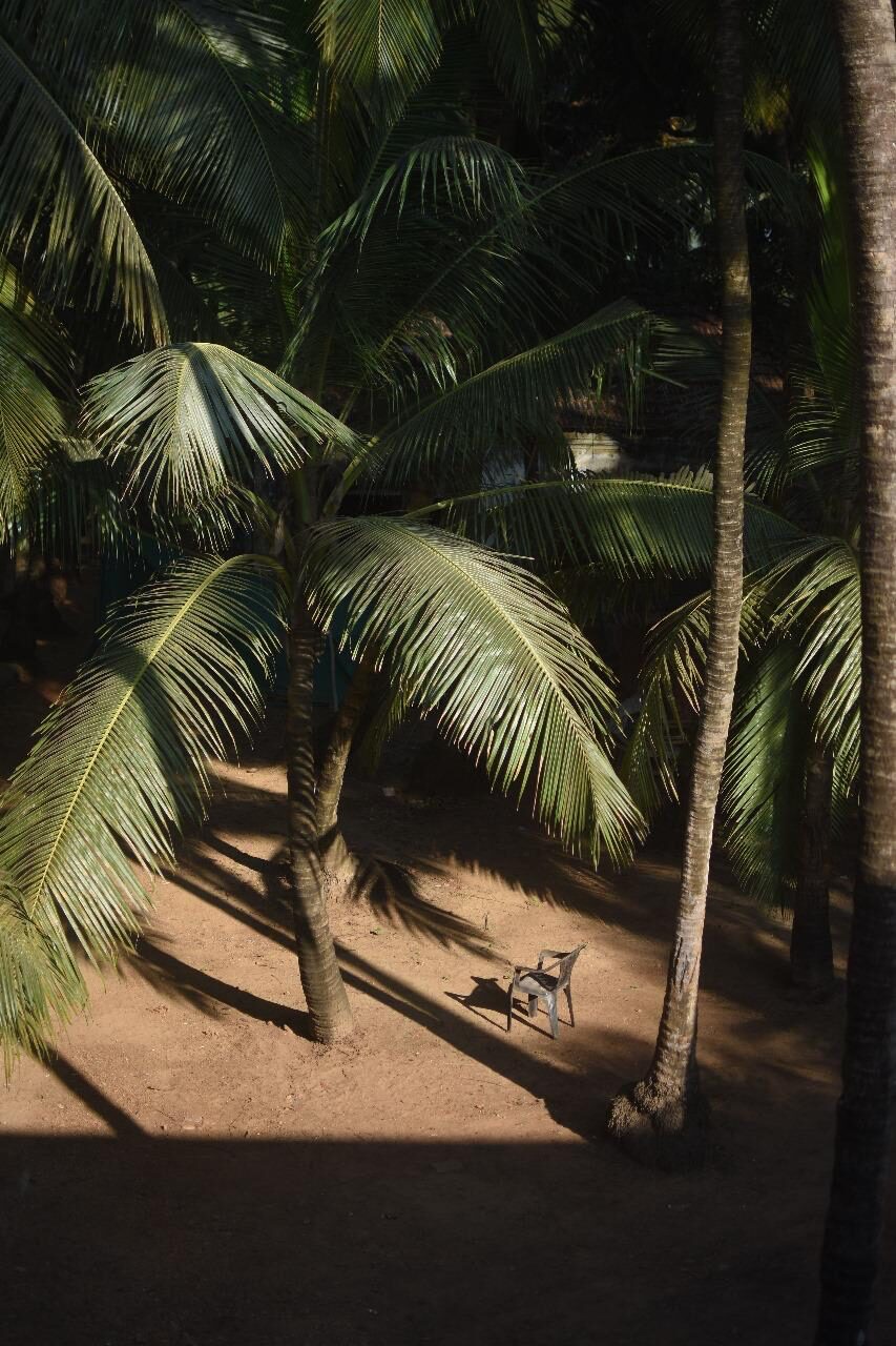 Polyamory & The Poem: A Zuihitsu | Poetry Northwest